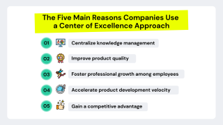 What is a Center of Excellence in Software Development