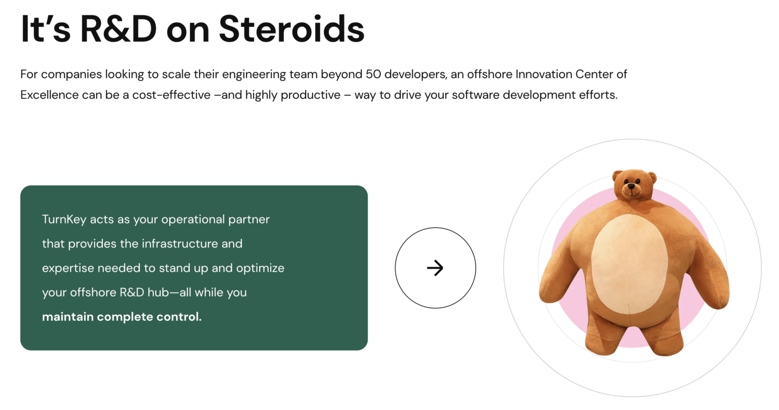 What is a Center of Excellence in Software Development