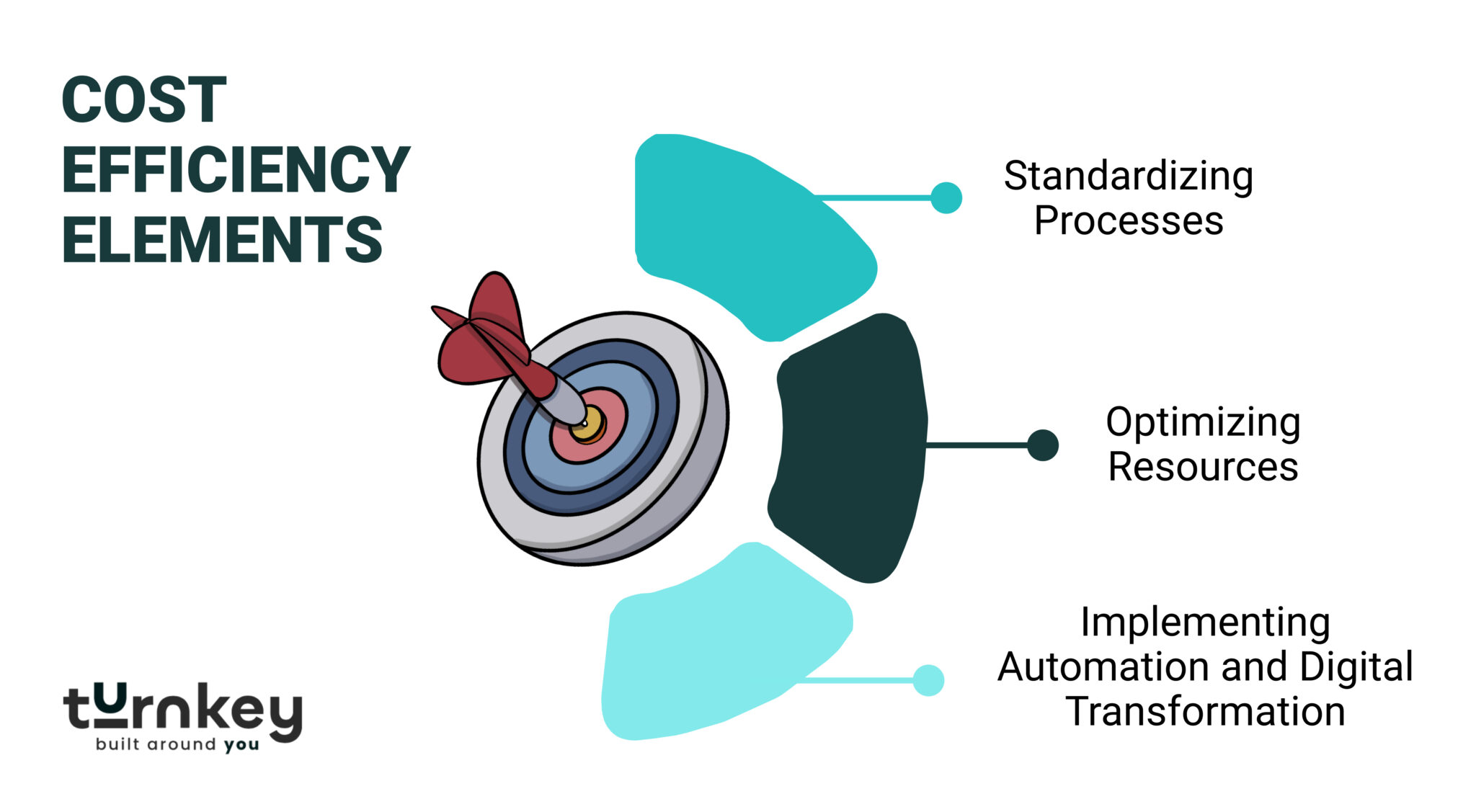 How to Build a Software Center of Excellence? | TurnKey Staffing
